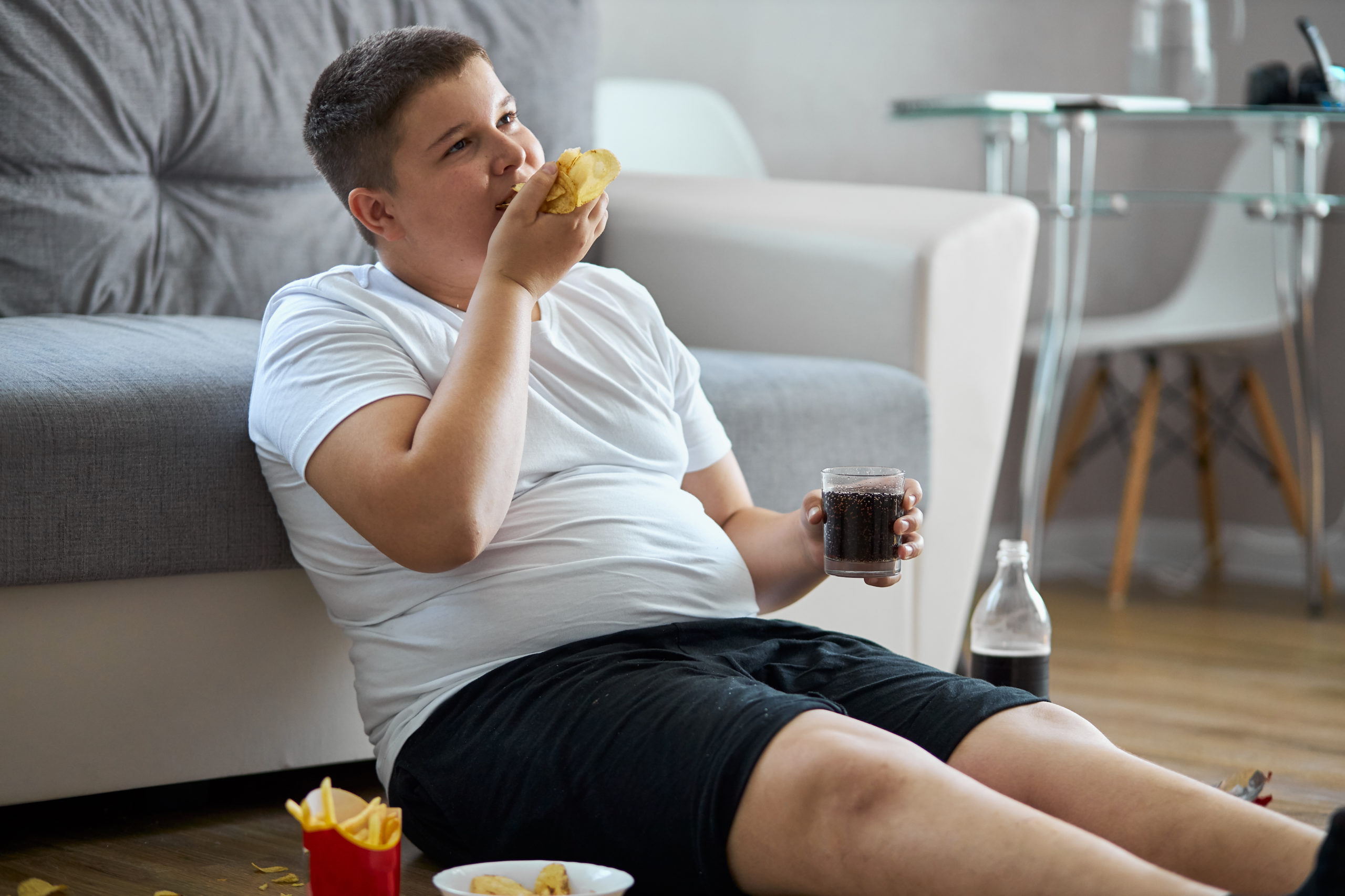 As Oito Principais Causas Da Obesidade Not cias